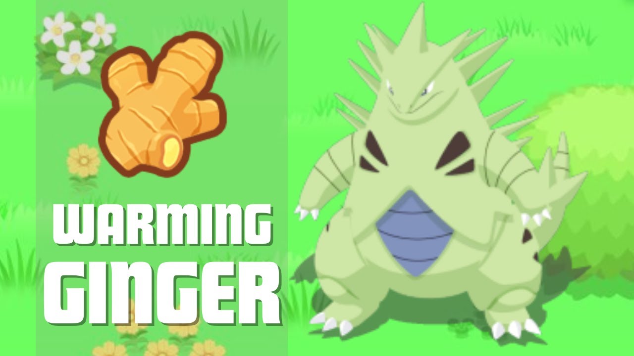 Warming Ginger Ingredient Deep Dive - Pokémon Sleep - YouTube