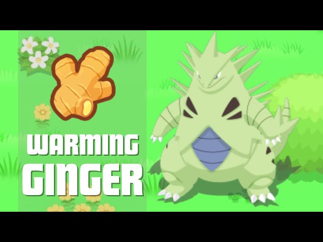 Real Ginger Pokemon SAITAKU | Poke Ginger