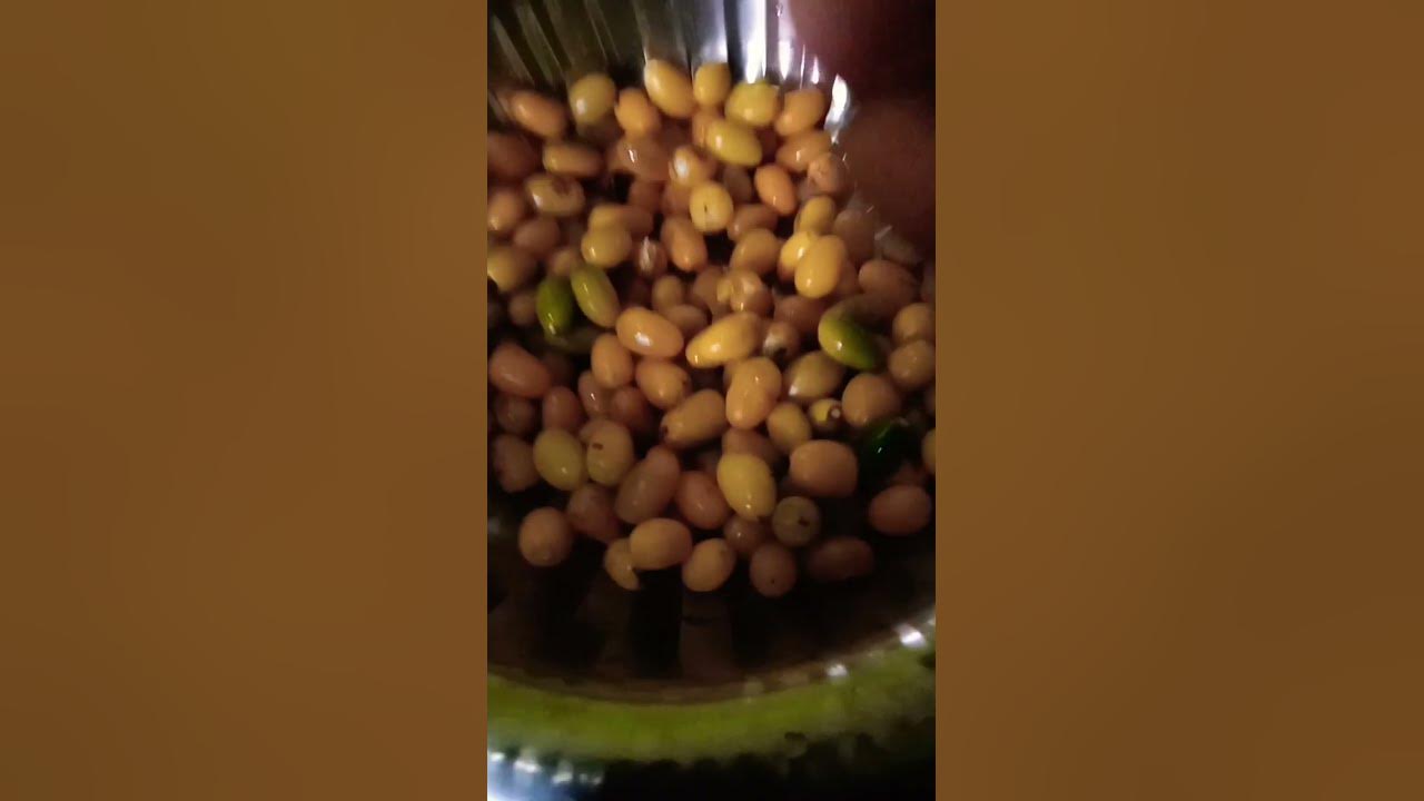 பாலைப்பழம் Fruit Trendingshorts Virel Youtube