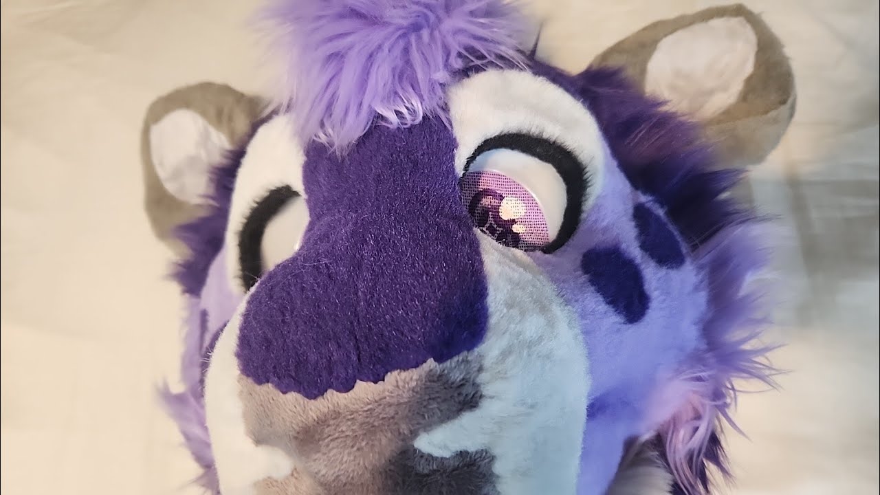 A Furry Chats and stuff? irl! - YouTube