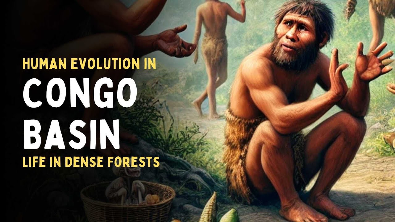 Human Evolution in the Congo Basin: Life in Dense Forests | Ancient ...