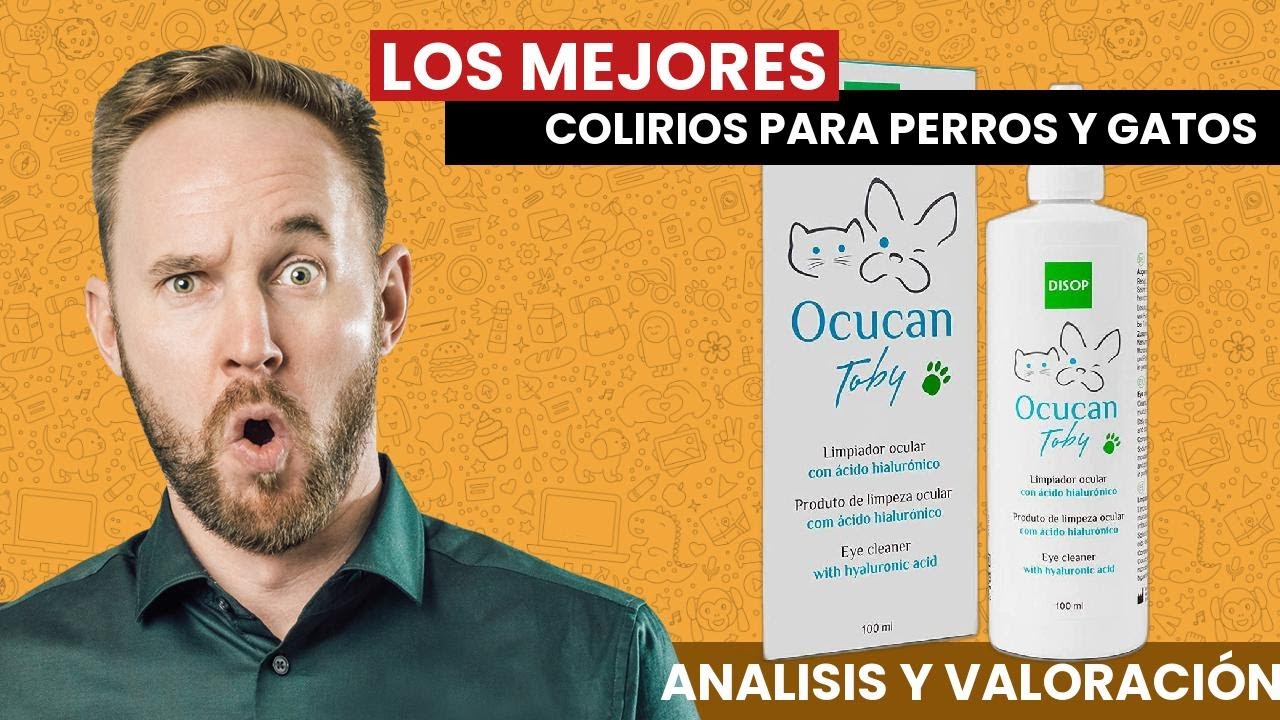 Los MEJORES COLIRIOS para PERROS y GATOS: TOP 4 ? ?? - YouTube