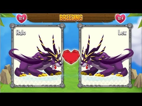Panther Dragon vs Panther Dragon | Dragon City [EXCLUSIVE BREEDING ...
