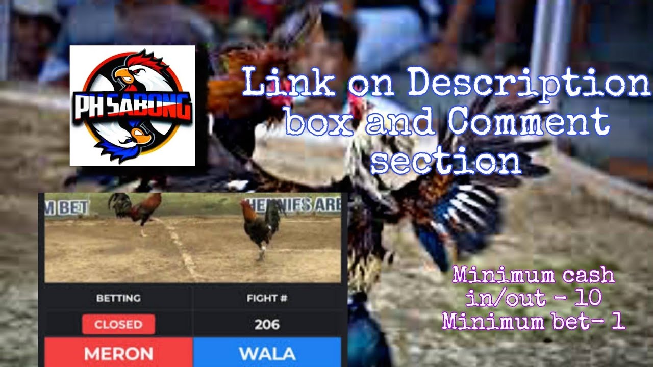 Online sabong Registration, cash in, cash out. legit online sabong app ...