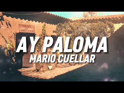MARIO CUELLAR - Ay paloma (Letra)