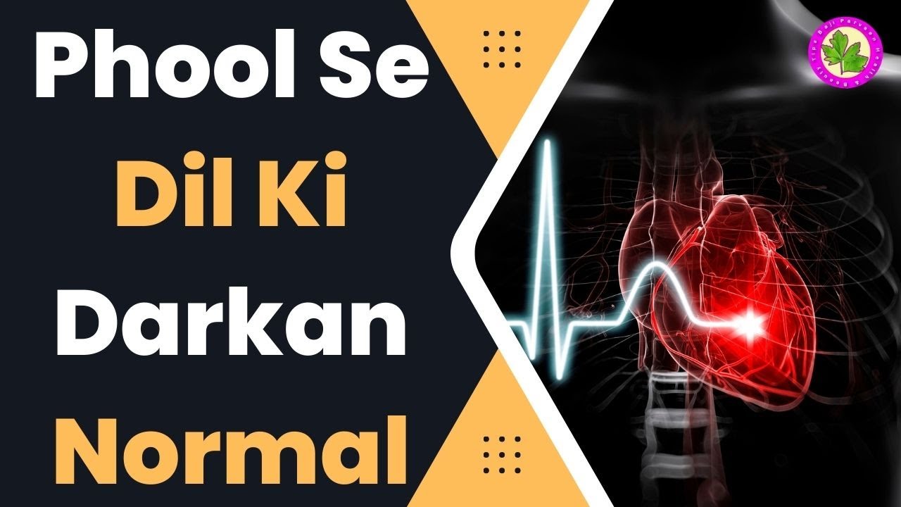 Heartbeat Fast - Phool Se Dil Ki Darkan Normal - YouTube
