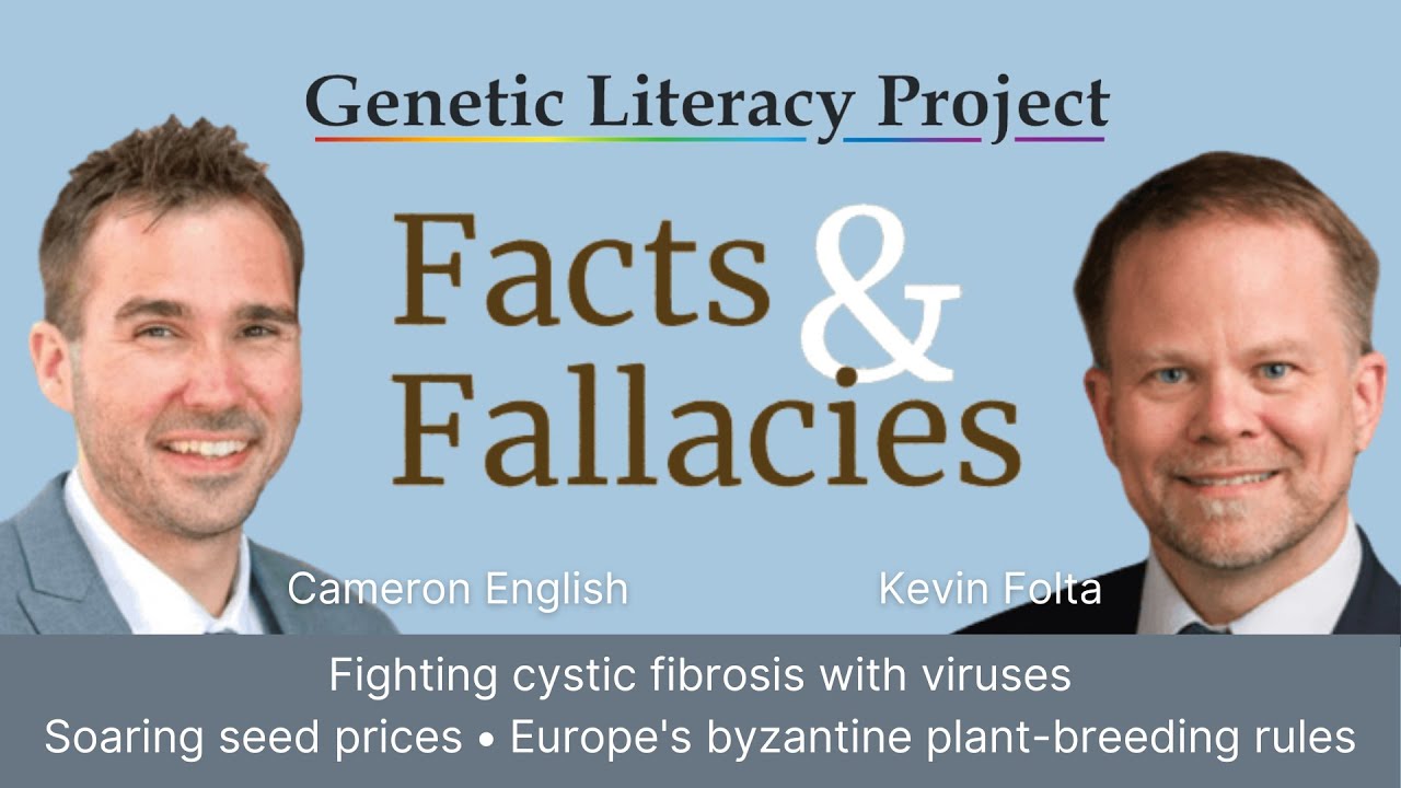 Science Facts And Fallacies Fighting Cystic Fibrosis With Viruses Science Facts And Fallacies Fighting Cystic Fibrosis With Viruses
