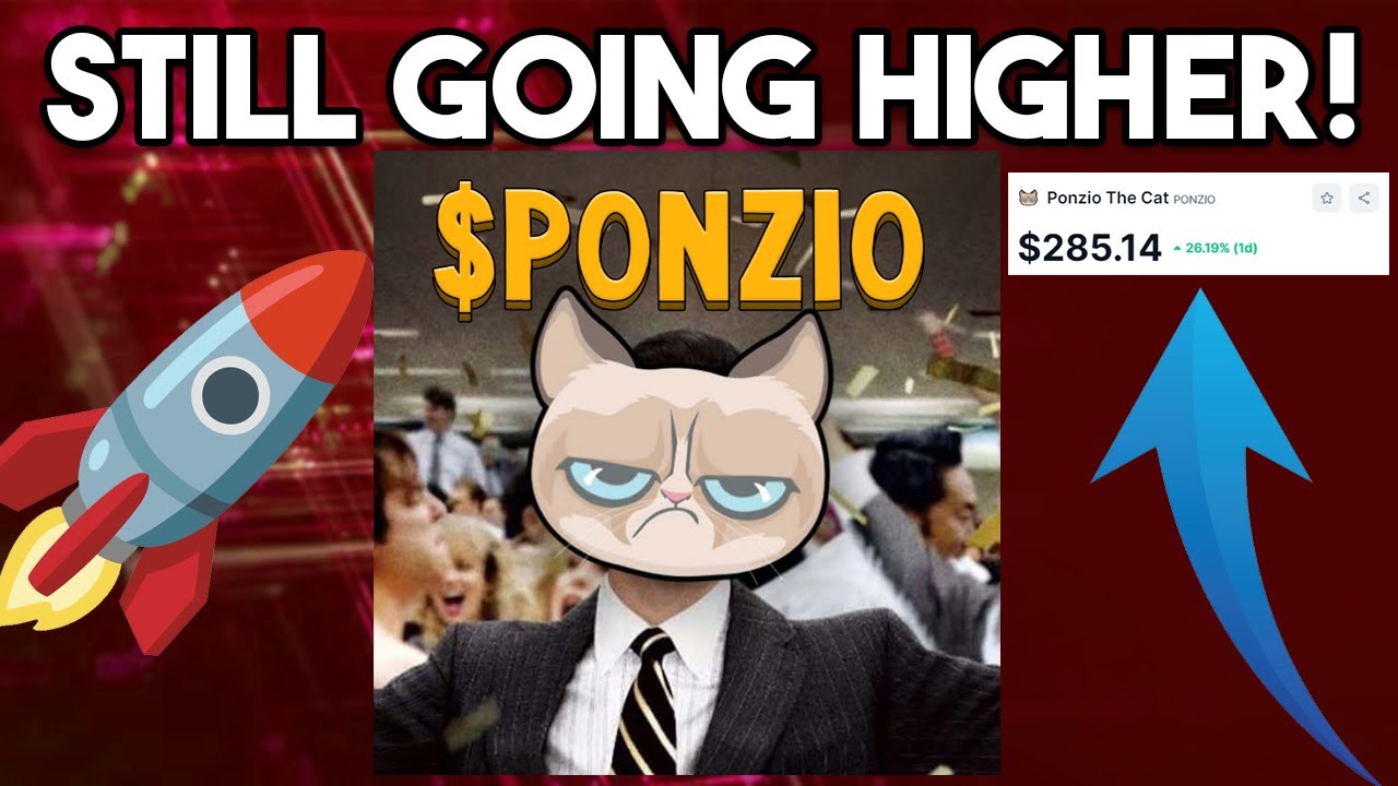 Ponzio The Cat is NOT Stopping! New KING of the Meme Coins | Best ...