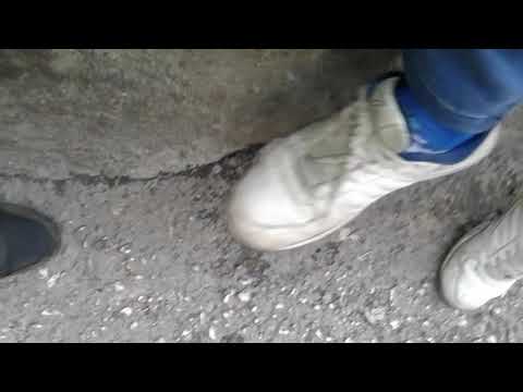 yanina yanina al beni yanina