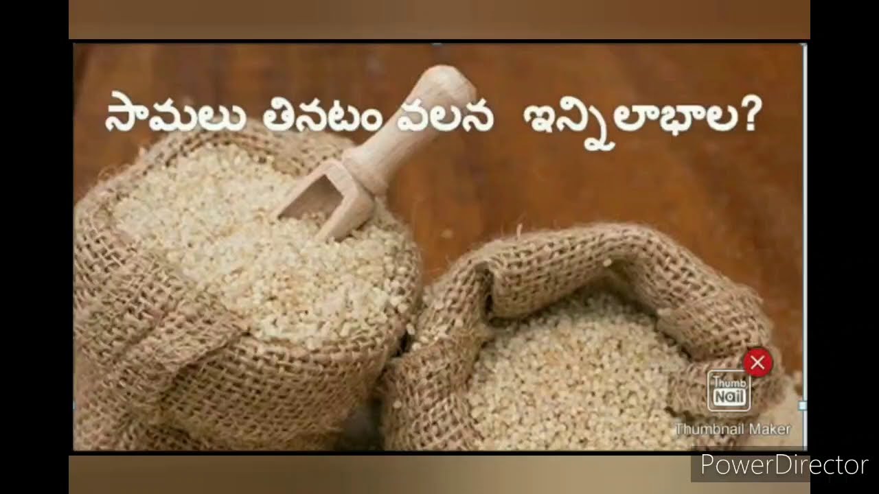 Benefits of using Little Millets ( Samalu) - YouTube