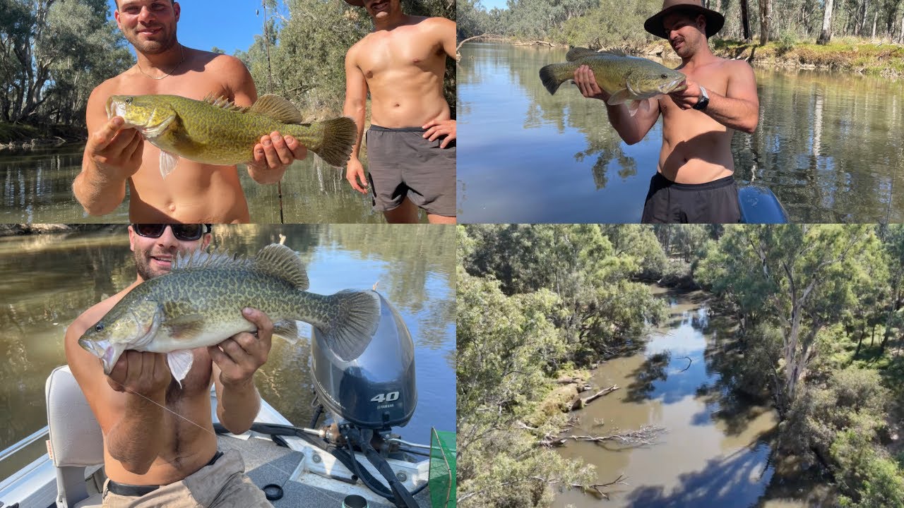 Ovens River Murray Cod Fishing - YouTube