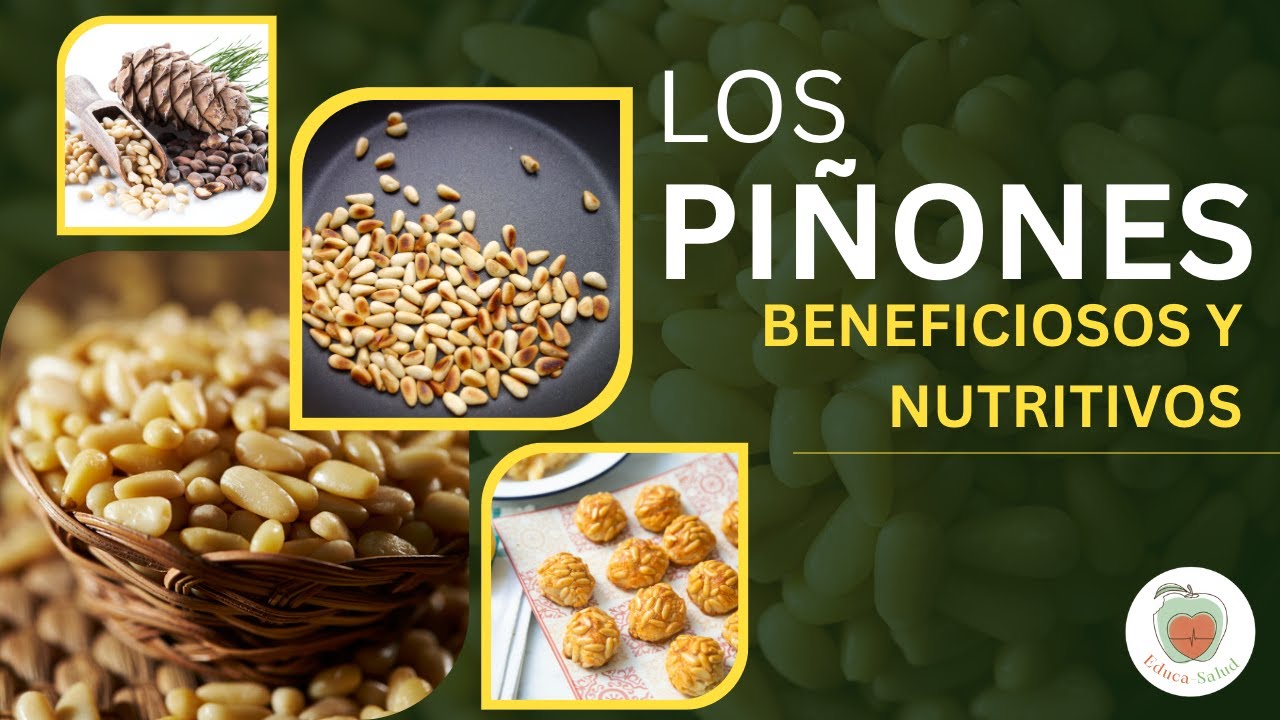 LOS PIÑONES: Frutos secos muy buenos y saludables - YouTube