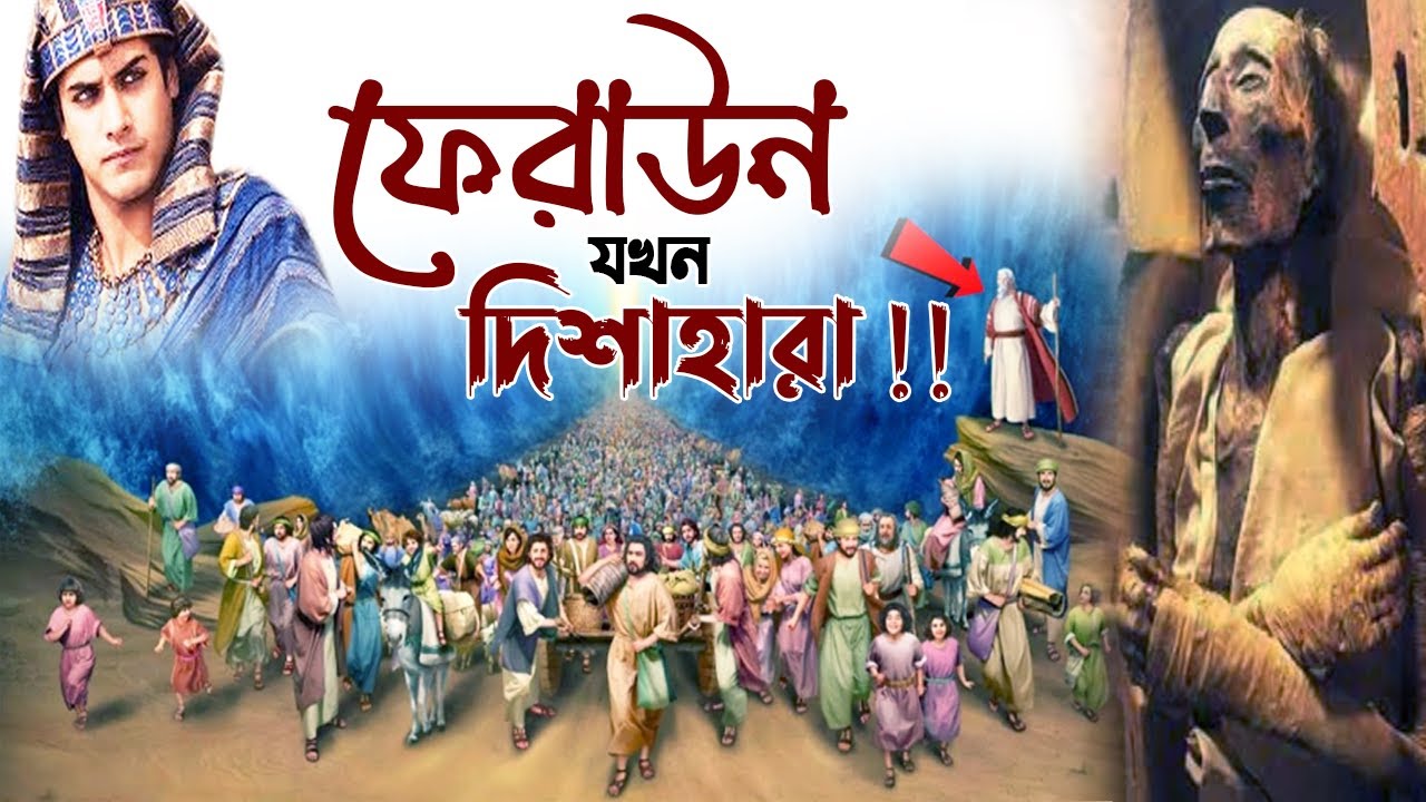 Life History of Prophet Musa 💔 Ep-15 💔 Prophet Musa Vs Feraun - YouTube