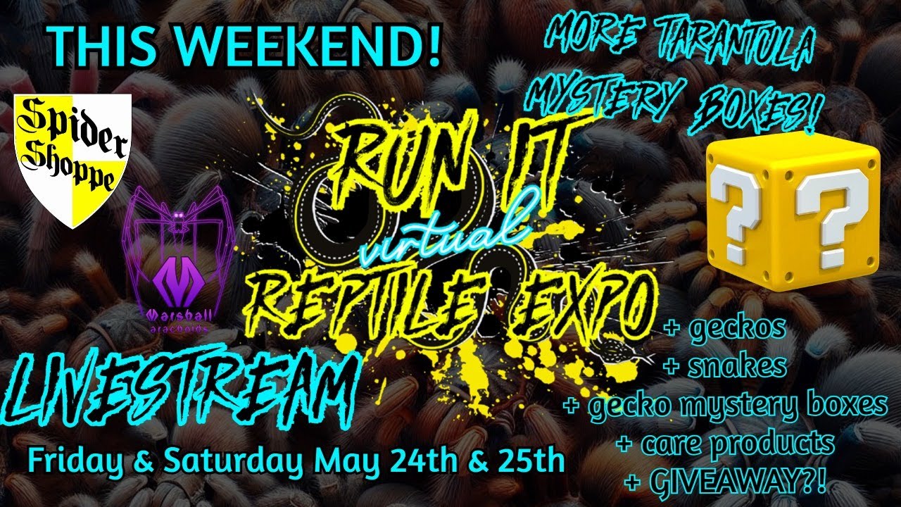 RUN IT Reptile Expo's Raleigh Sale Event Livestream 🕷️ DAY 1 - Friday ...