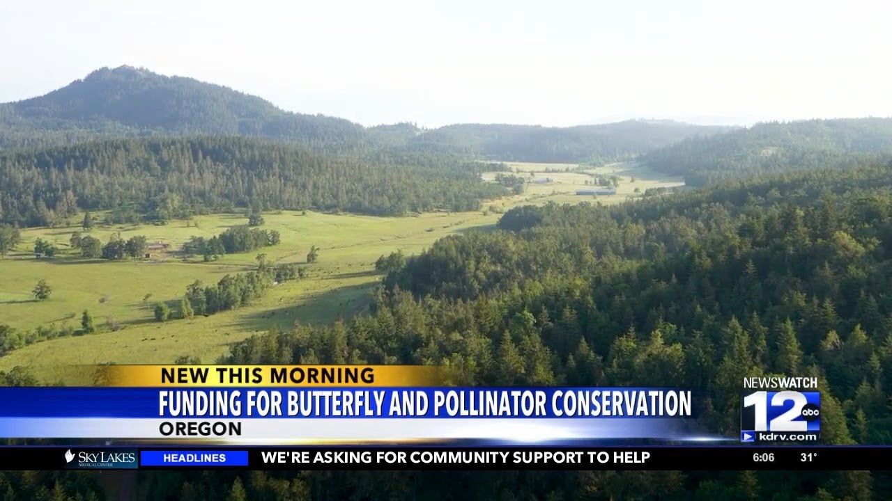 Oregon senators announce funding for butterfly, pollinator conservation ...