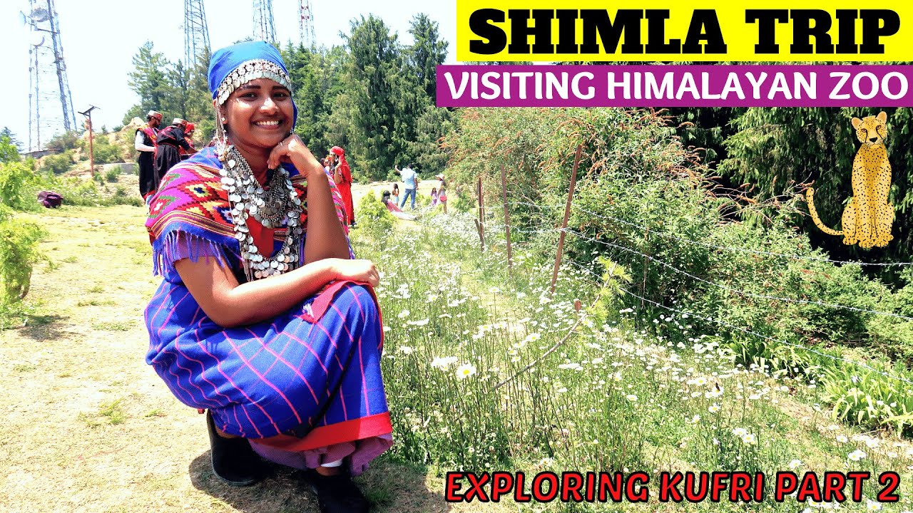 SHIMLA TOURIST PLACES IN TAMIL | Kufri Shimla | Kufri Zoo | #shimlatrip ...
