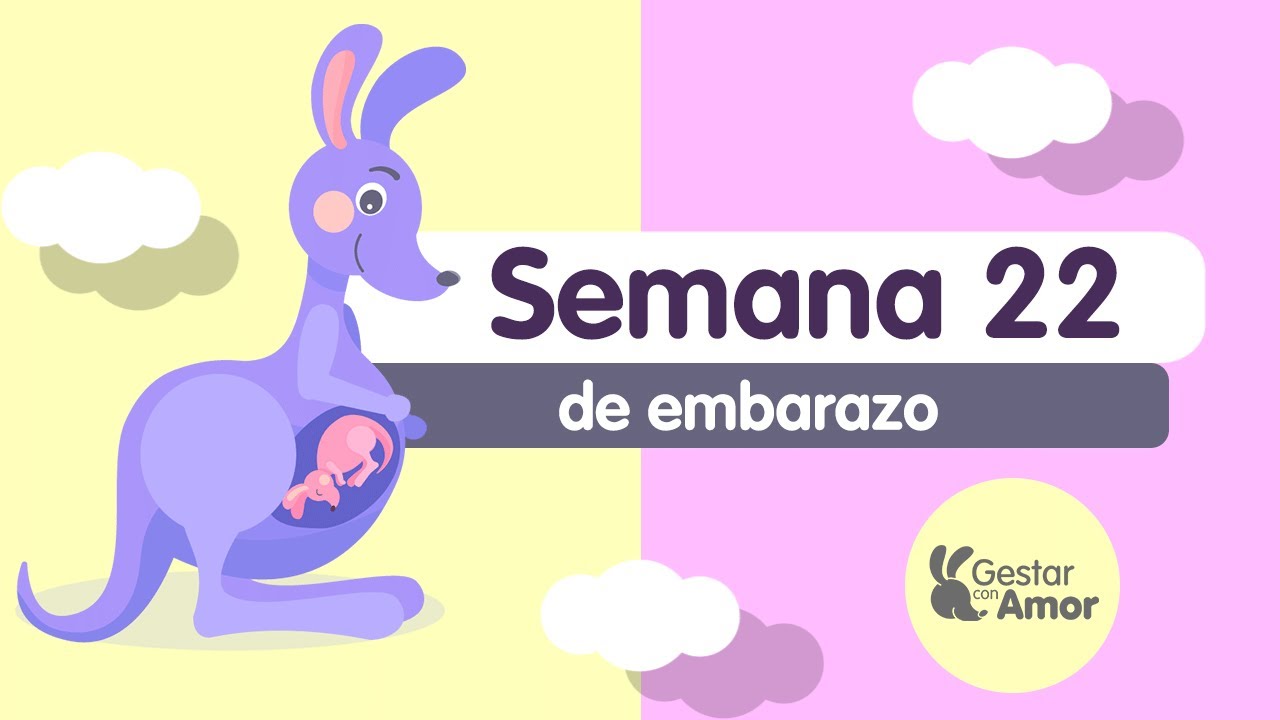 Semana 22 de embarazo: ¡Tu bebé se hace más fuerte! - YouTube