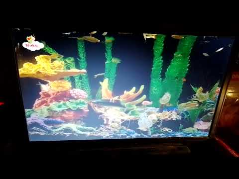 Babytv Magic World (121) - YouTube