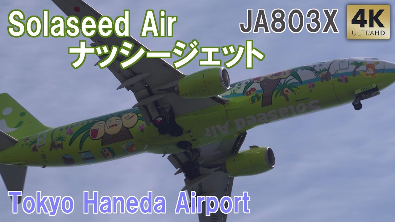 ソラシドエア ナッシージェット/ポケモン JA803X Pokemon Nassy Livery 羽田空港 Tokyo Haneda ...