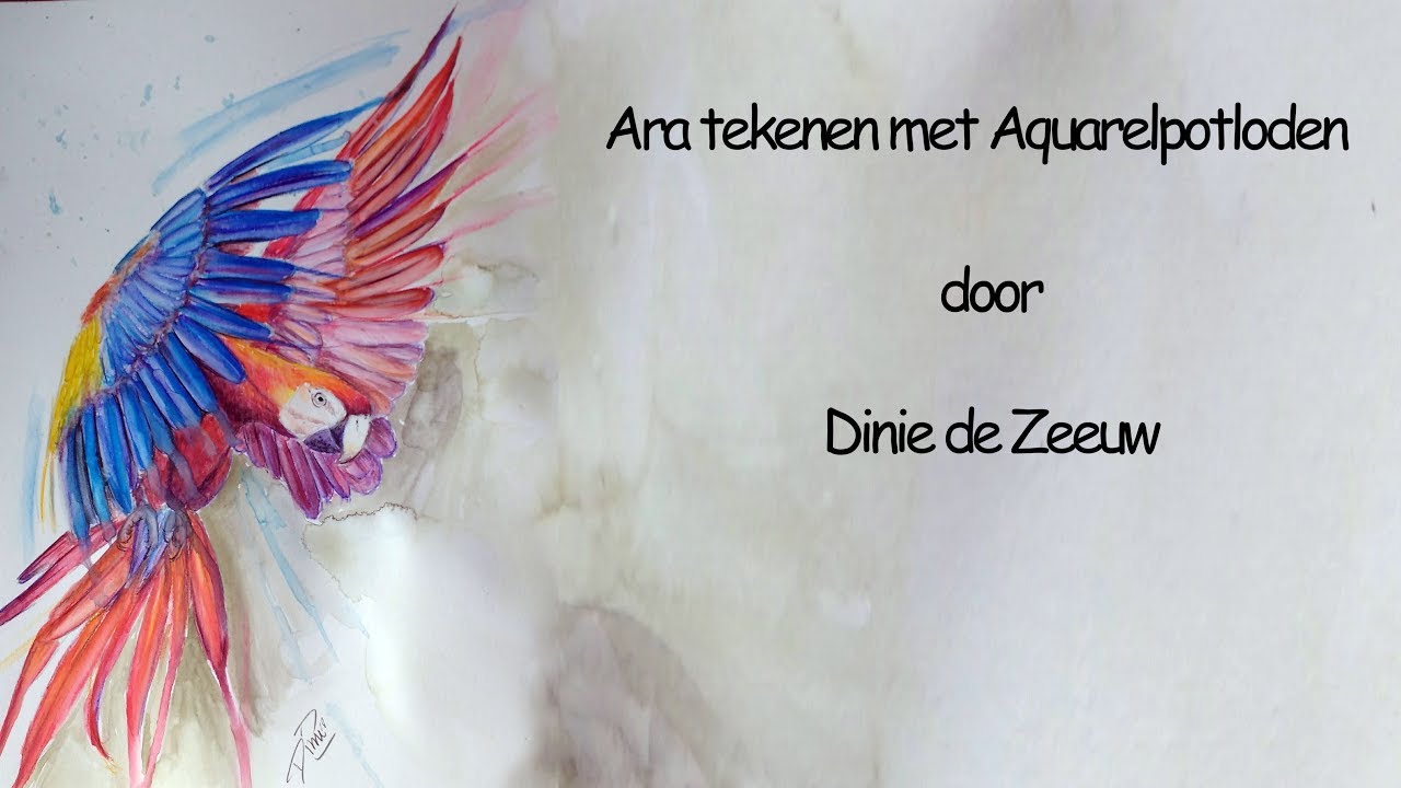 tekenen en schilderen met Aquarelpotloden - YouTube