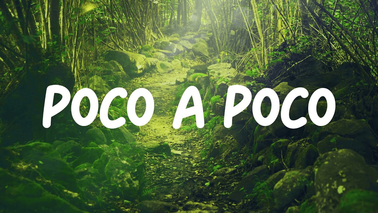 Poco a Poco - Xavi ft Los Dareyes de la Sierra (Letra) - YouTube