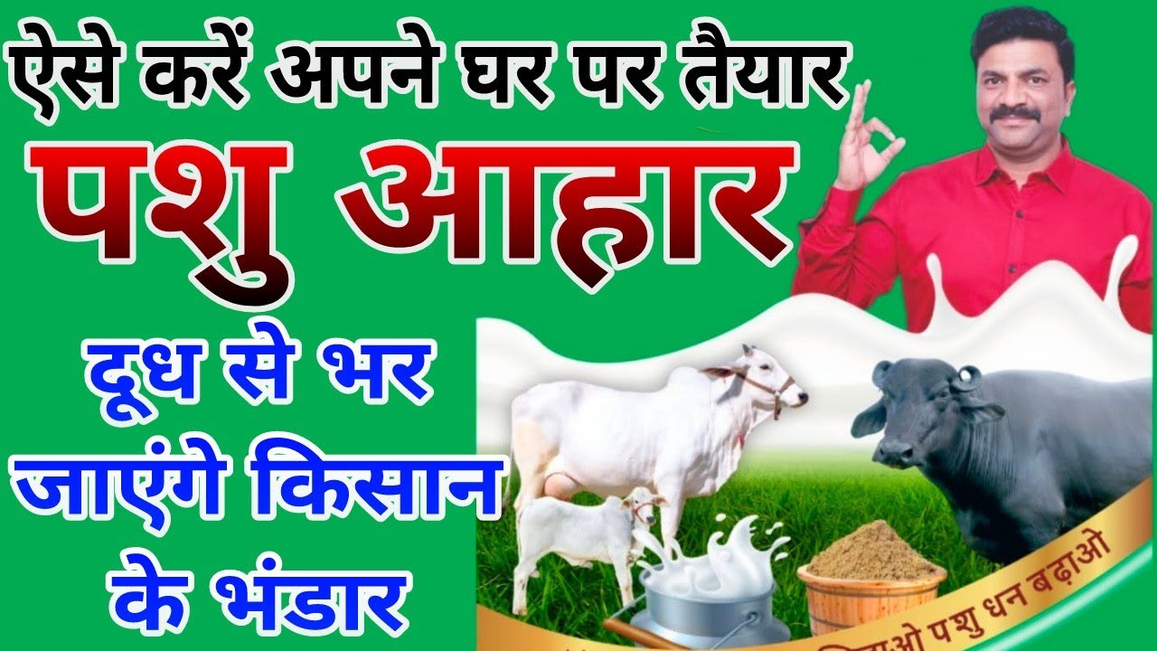 Best Milk Increase Cattle Feed Formula At Home Best Milk Increase Cattle Feed Formula At Home