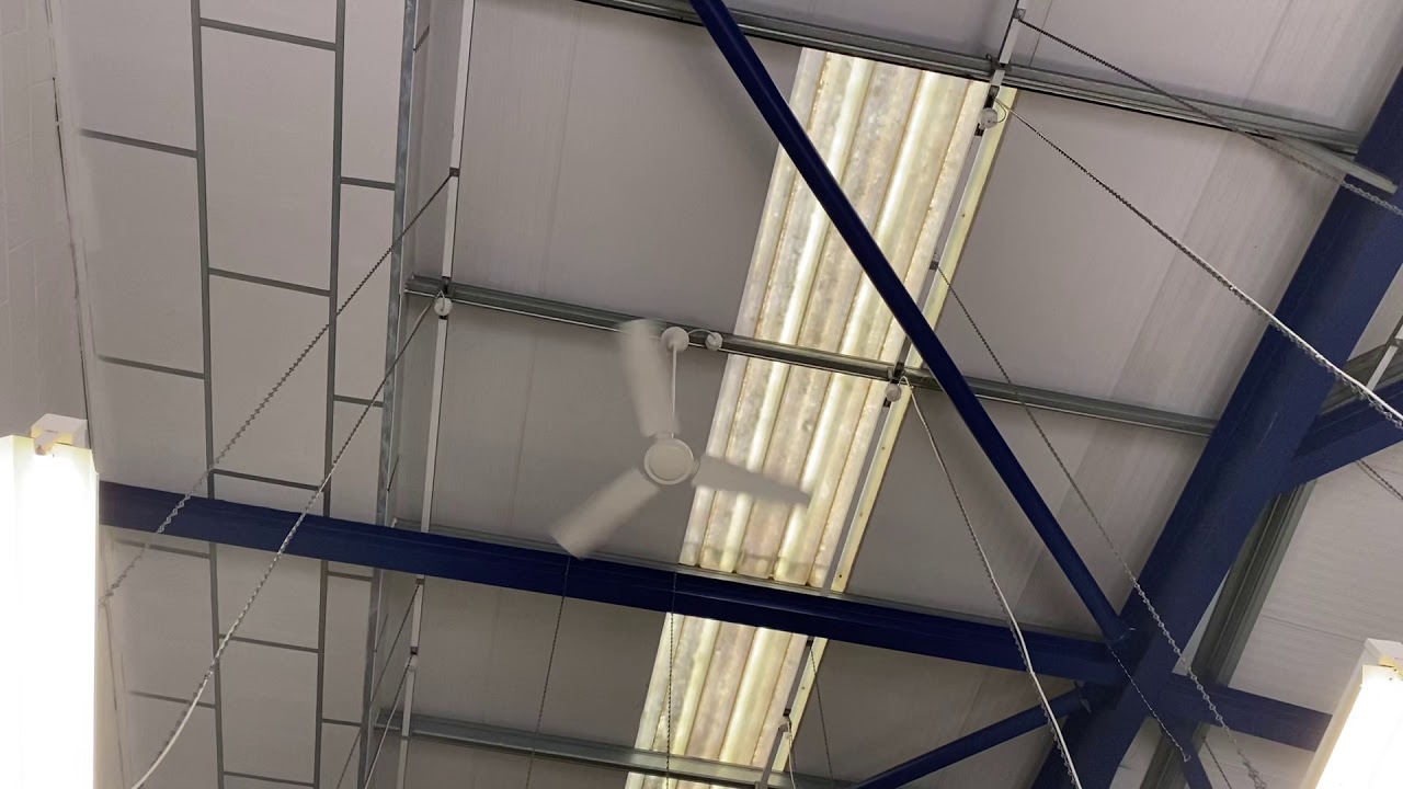 Newlec industrial ceiling fans in Ableworld Mobility & Stairlifts ...