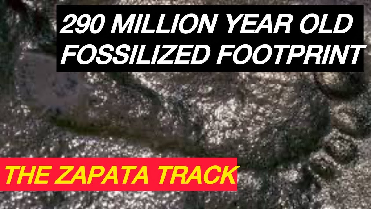 290 Million Year Old Footprint ZAPATA TRACK - YouTube