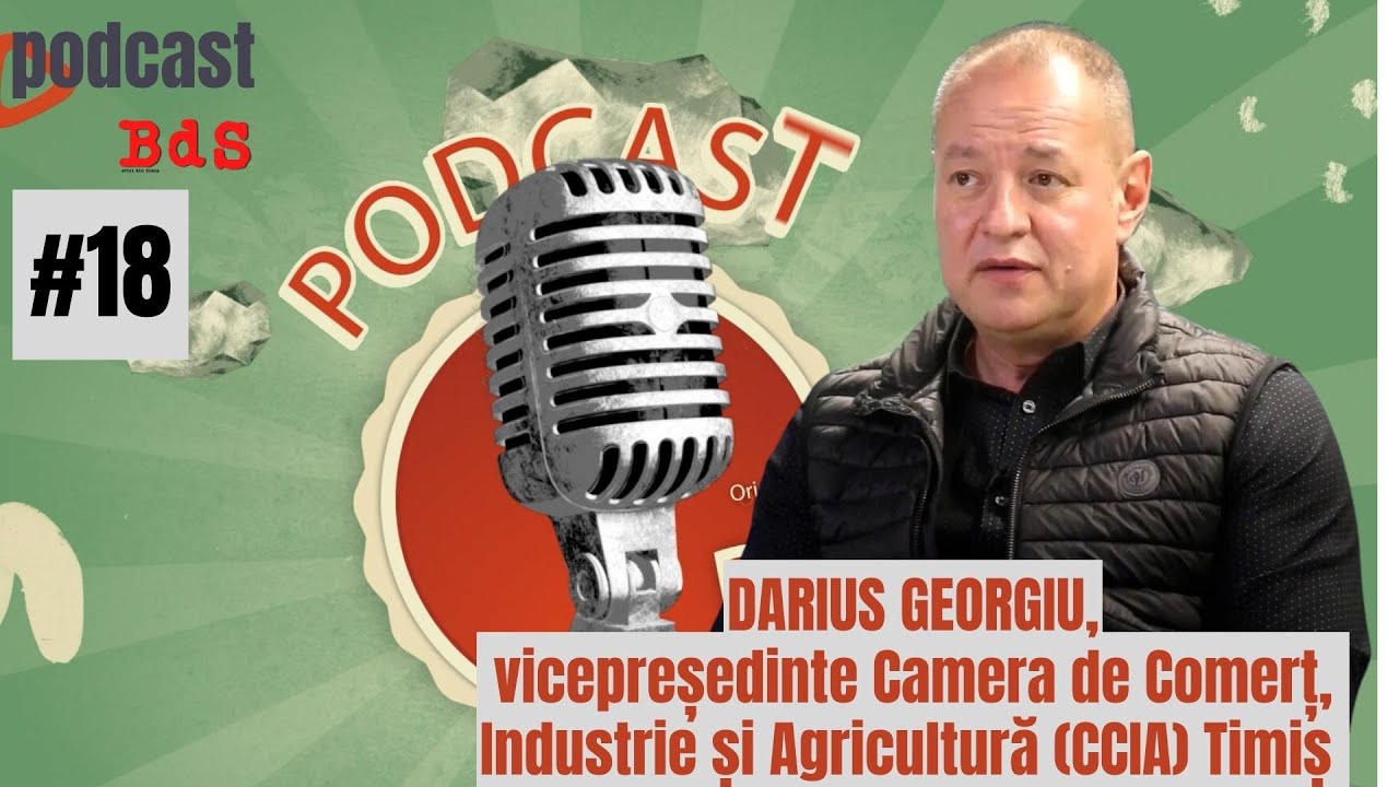 DARIUS GEORGIU, vicepreședinte Camera de Comerț, Industrie și ...