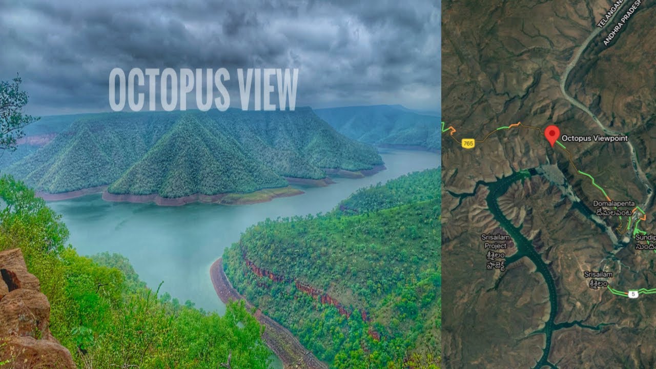 Octopus View Point | Ghat Road - YouTube