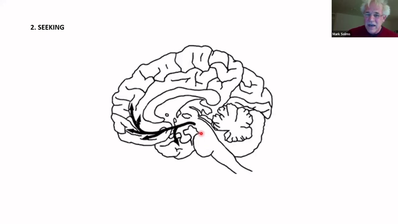 BPA Open Evening: Mark Solms "The Clinical Implications of ...