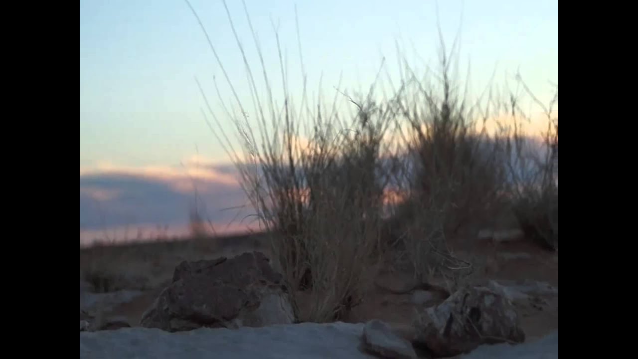 HD METLILI - YouTube