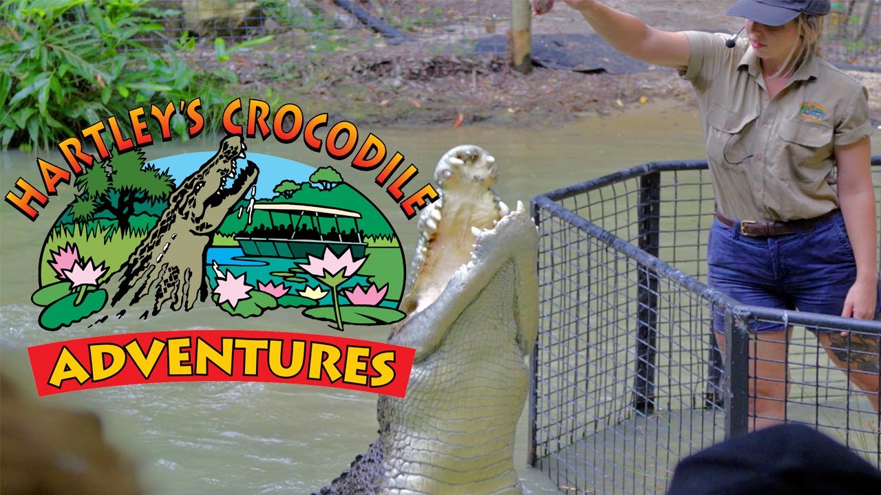 Hartleys Crocodile Adventures - YouTube