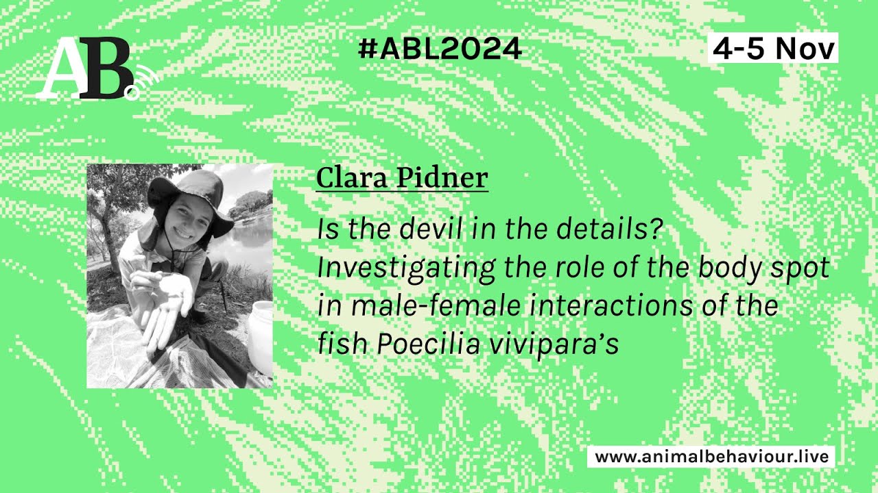 ABL:AOC 2024 Clara Pidner - YouTube