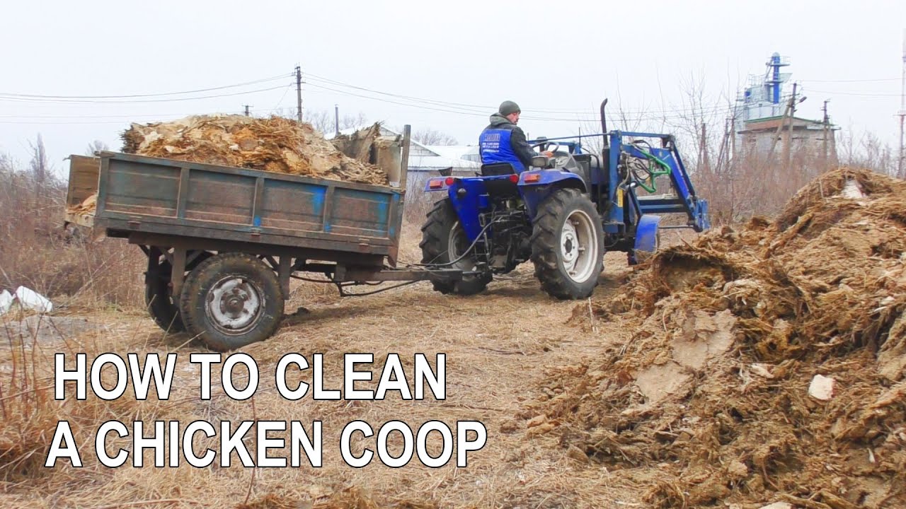 Poultry Farm Cleaning - YouTube