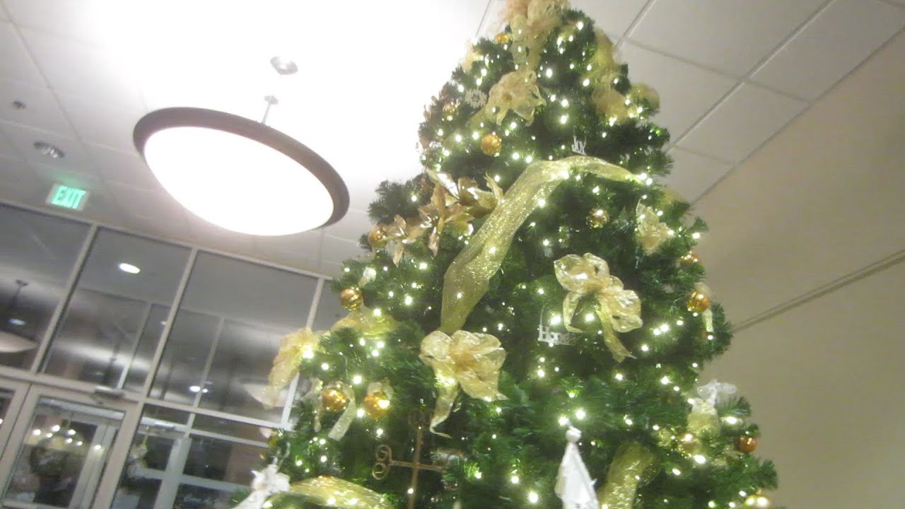 NO TISSUE 2013 (11.24.13 - Day 573) - YouTube