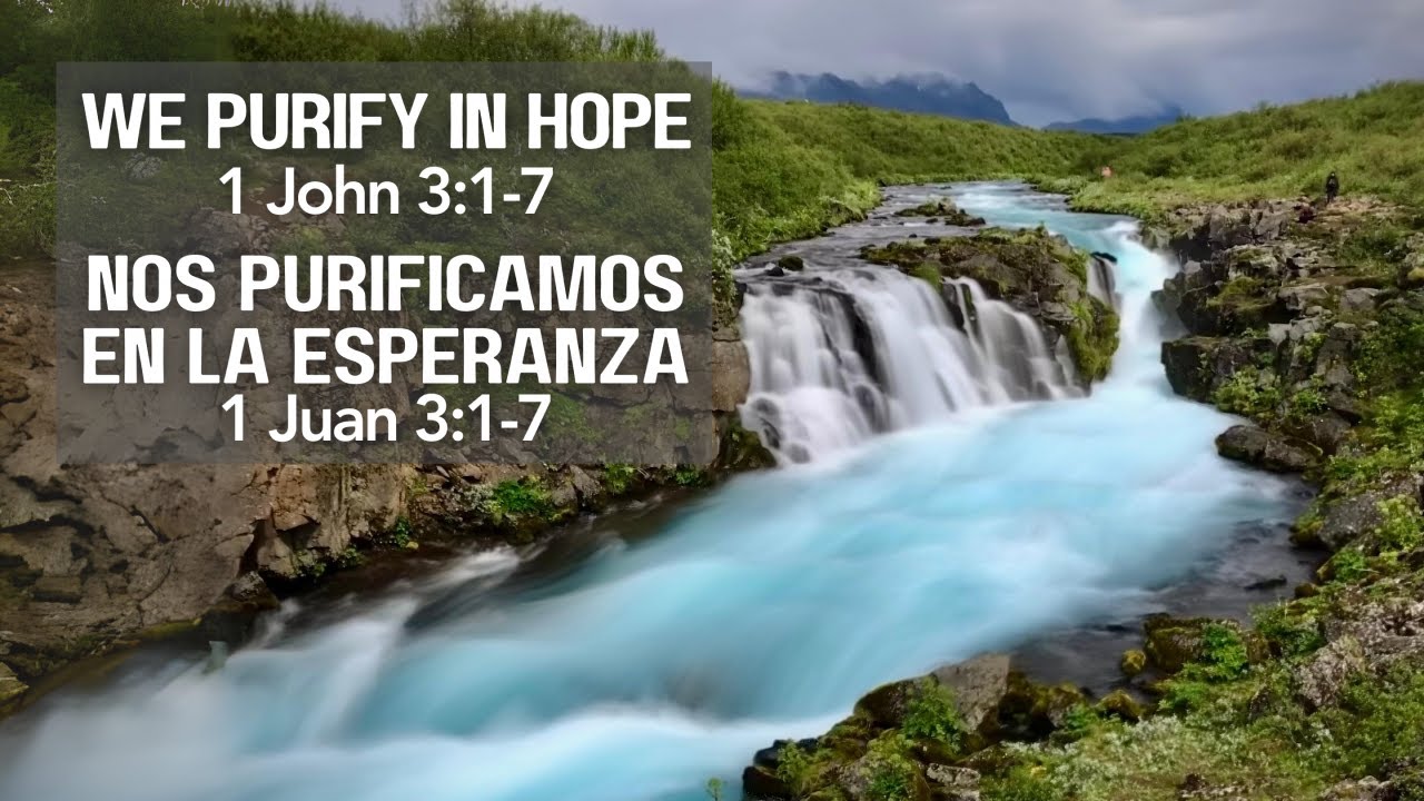 We Purify In Hope (1 John 3:1-7) - YouTube