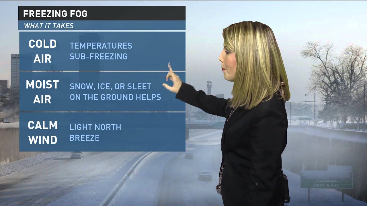 Sarah Fortner-- 12/8/13 10pm update - YouTube