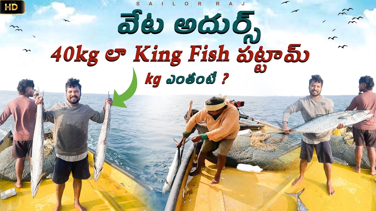 Sailor Raj | 40kg ల King Fish చేపలు పట్టాం - YouTube