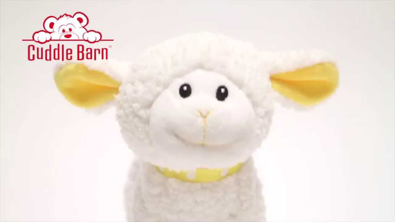Cuddle Barn - Baa Baa Baby - YouTube