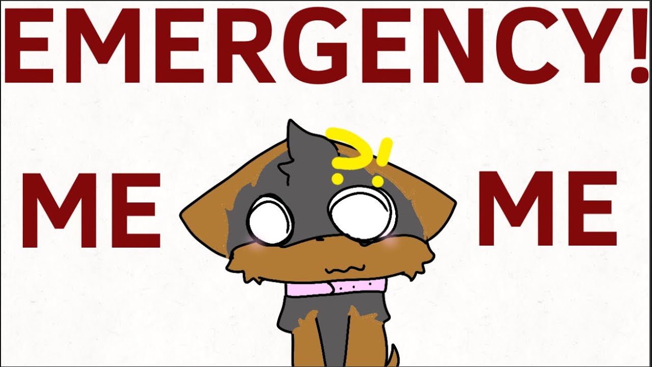 EMERGENCY MEME (B-DAY GIFTTT!) - YouTube