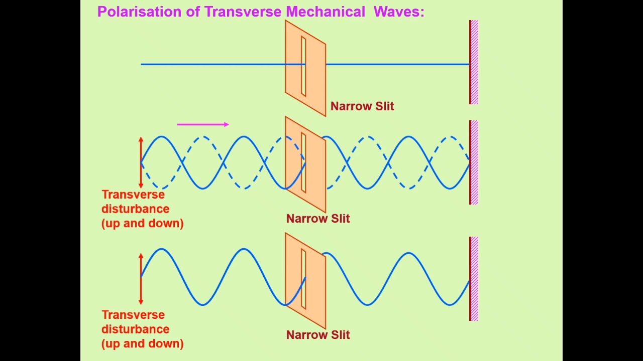 wave optics part 2(Diffraction and polarisation of light) - YouTube