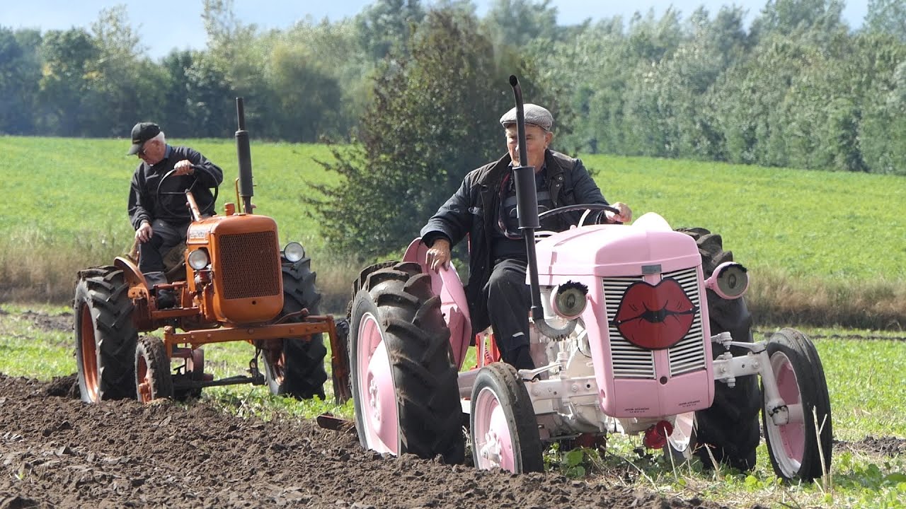 Antique Tractor ploughing day - Full Event | Old & Restored Tractors in ...