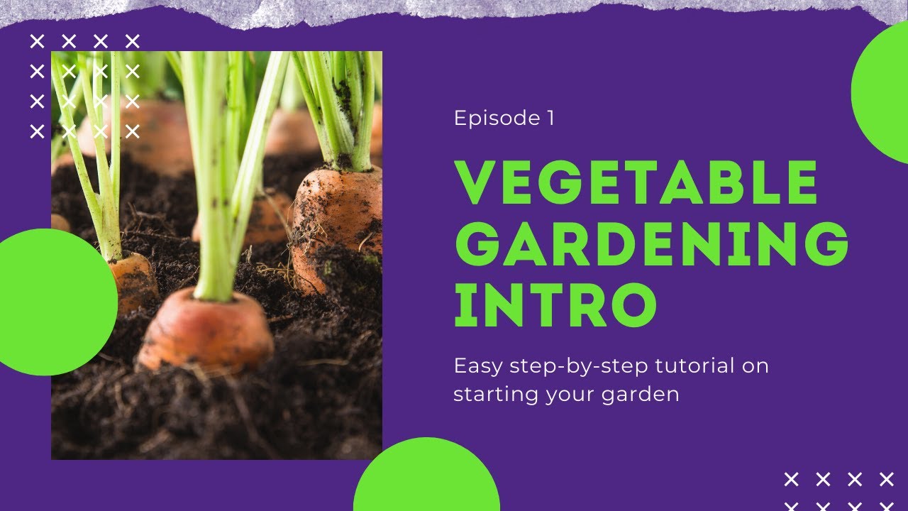 Vegetable Gardening Introduction - YouTube