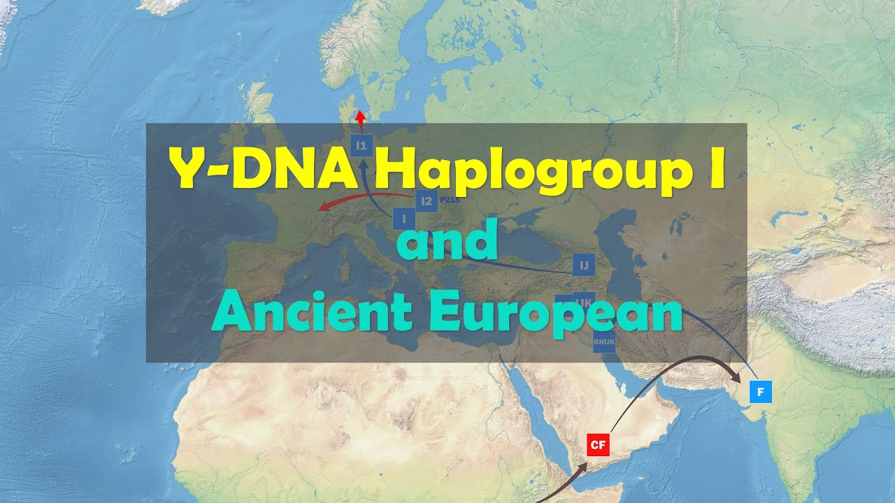 [Origin of European 4/6] Y-DNA Haplogroup I and Ancient European - YouTube
