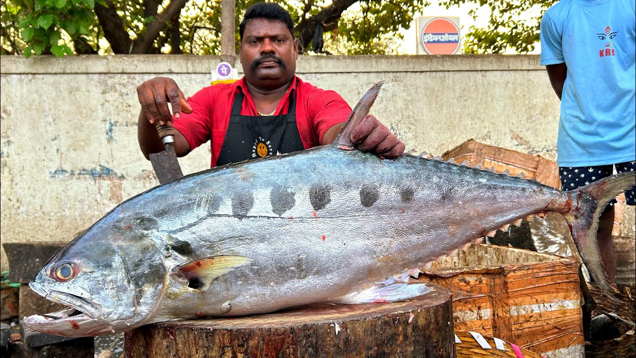 20 KG THOL PARRAI FISH 🐟 KASIMEDU SPEED SELVAM MASS FISH CUTTING SKILLS ...