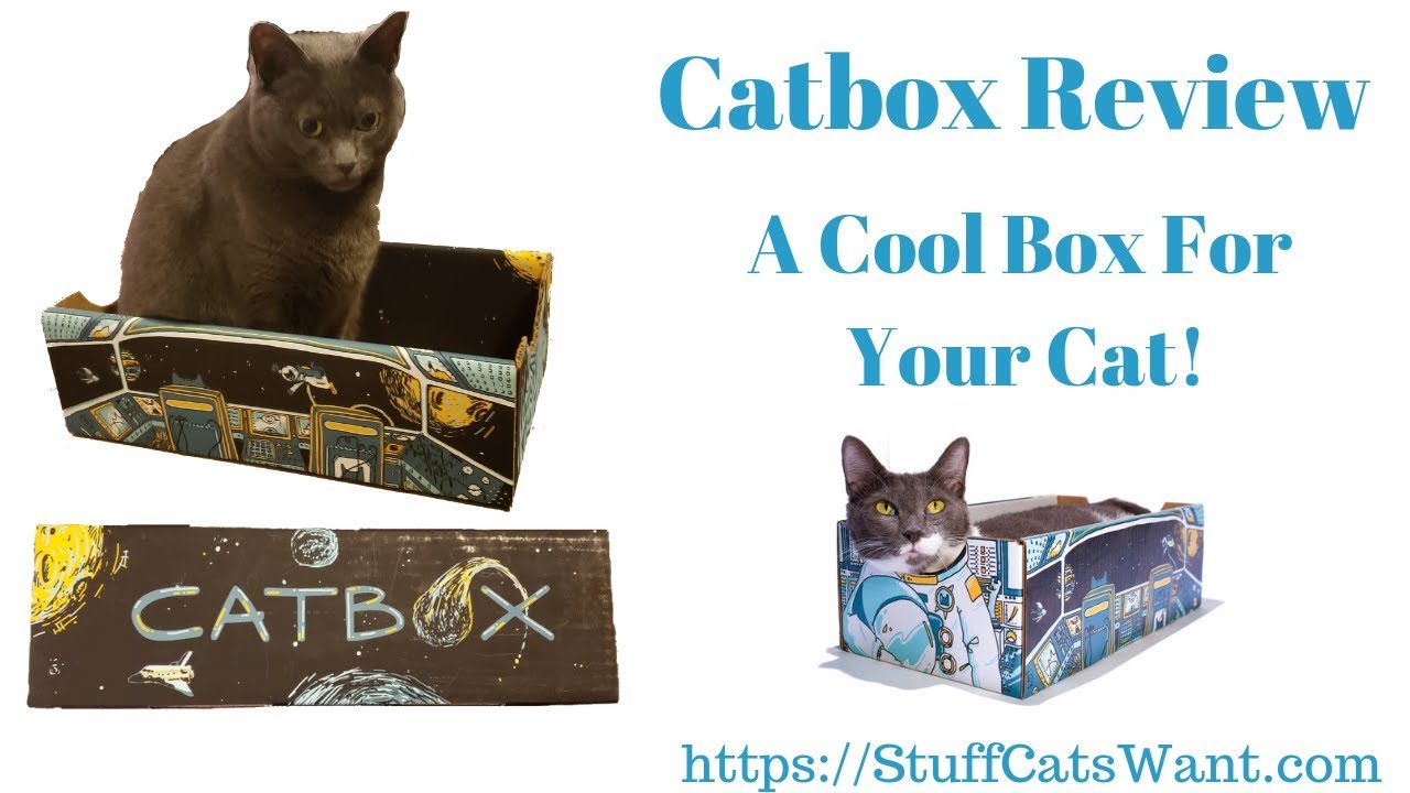 Catbox Cardboard Boxes for Cats Review - YouTube
