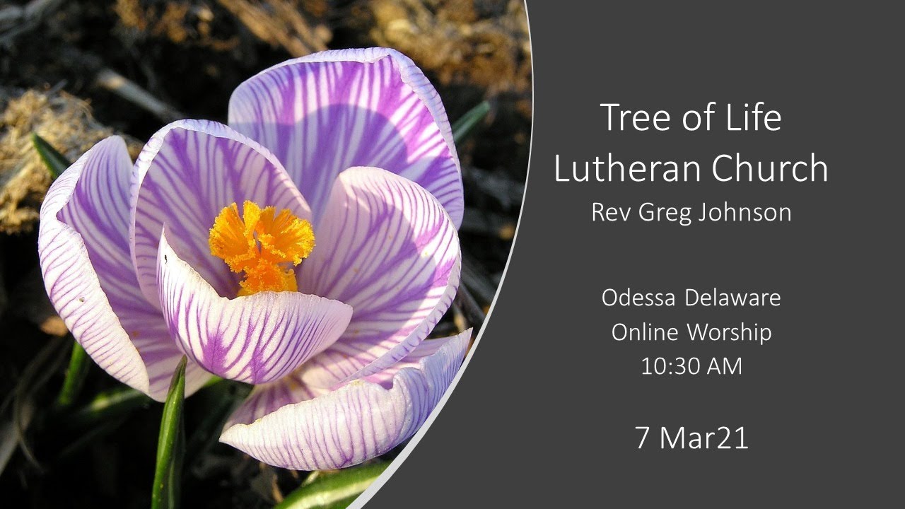 Tree of Life Delaware Online Worship, 14 Mar 2021 - YouTube