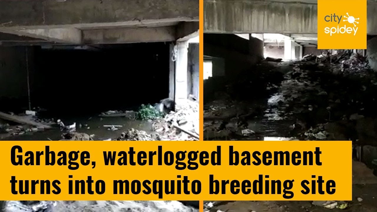 Garbage, waterlogged basement turns into mosquito breeding site - YouTube