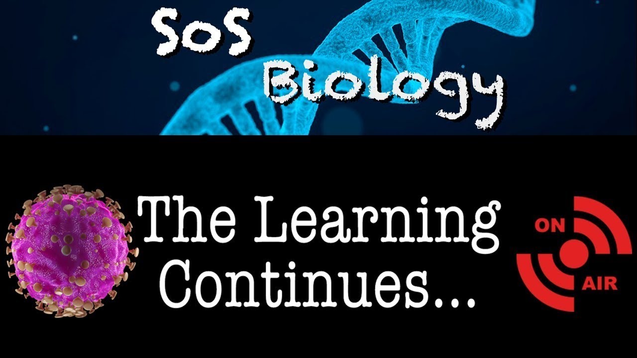 Keystone Review - Basic Biological Principles - YouTube